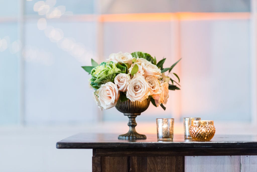 Poppy & Pine | Product Photography | Denver, CO | From The Hip Photo