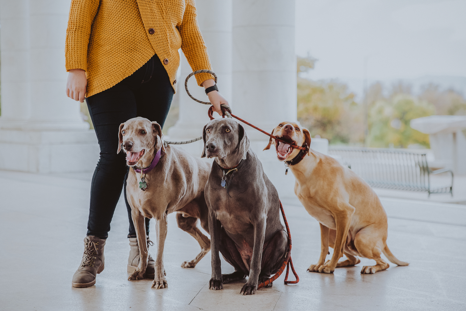 Cheesman Park Photos - Photography Inspiration & Tips