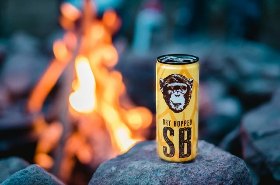 Infinite Monkey Theorem - From the Hip Photo Infinite Monkey Theorem - From the Hip Photo